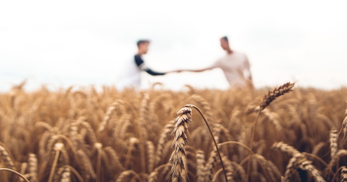 Mobile App - Farmbucks